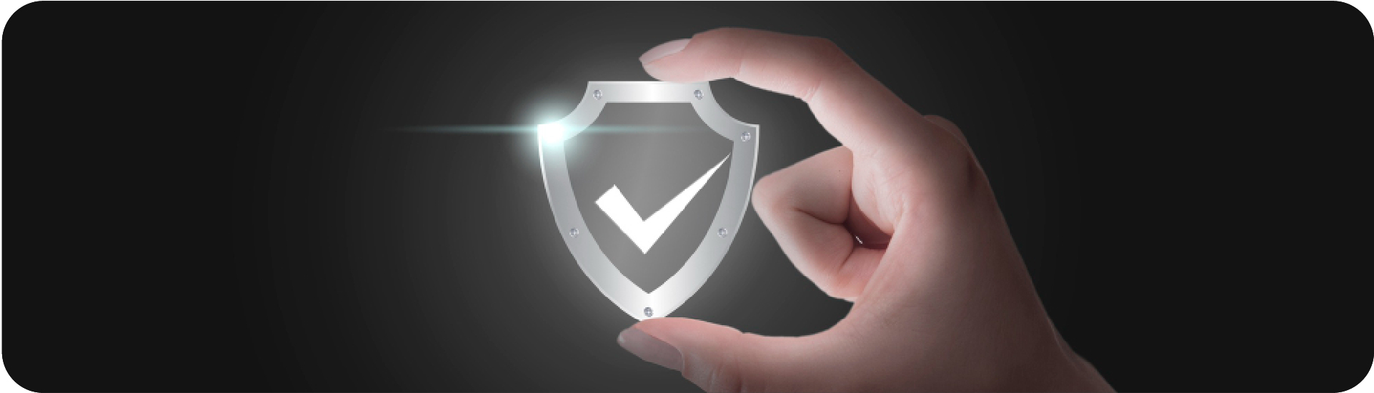 Safe To Host Certificate for Web Application Explained